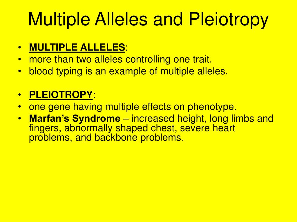 PPT - Understanding Modern Genetics: Key Concepts and Mendel's ...
