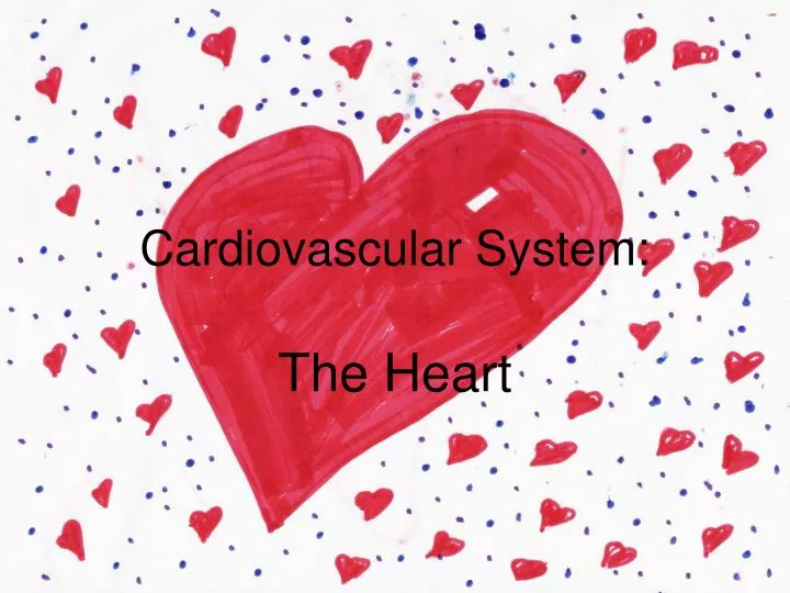 PPT - Cardiovascular System: PowerPoint Presentation, free download ...