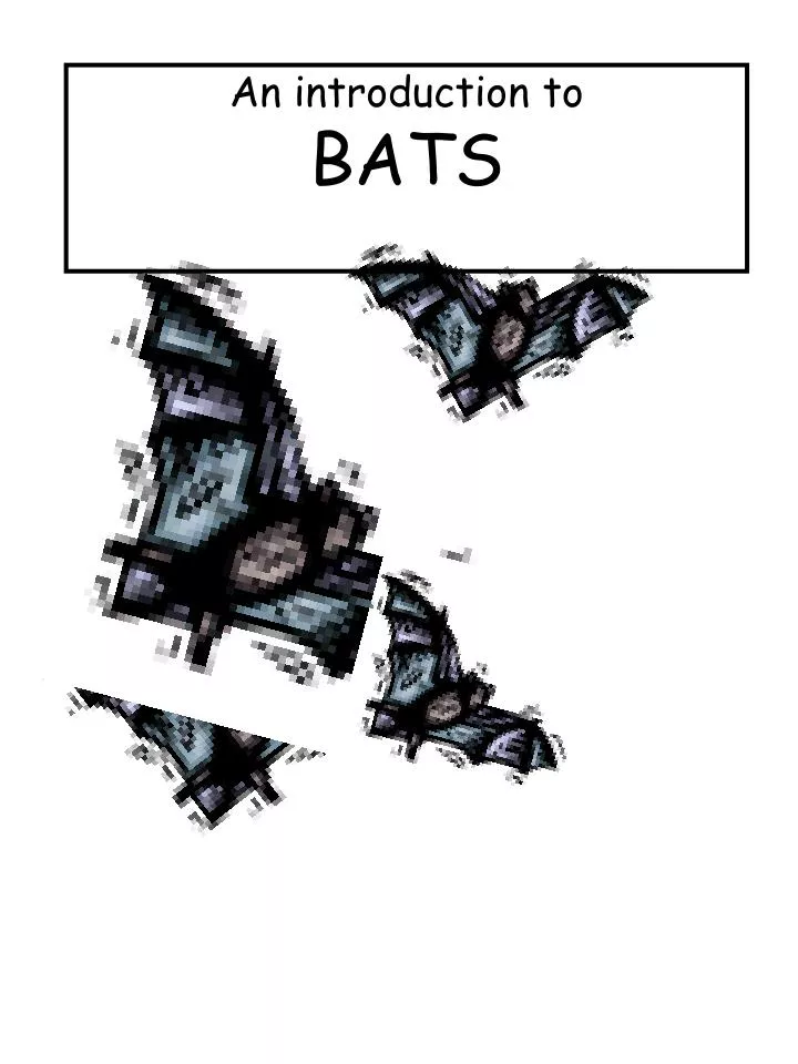 PPT - An introduction to BATS PowerPoint Presentation, free download ...