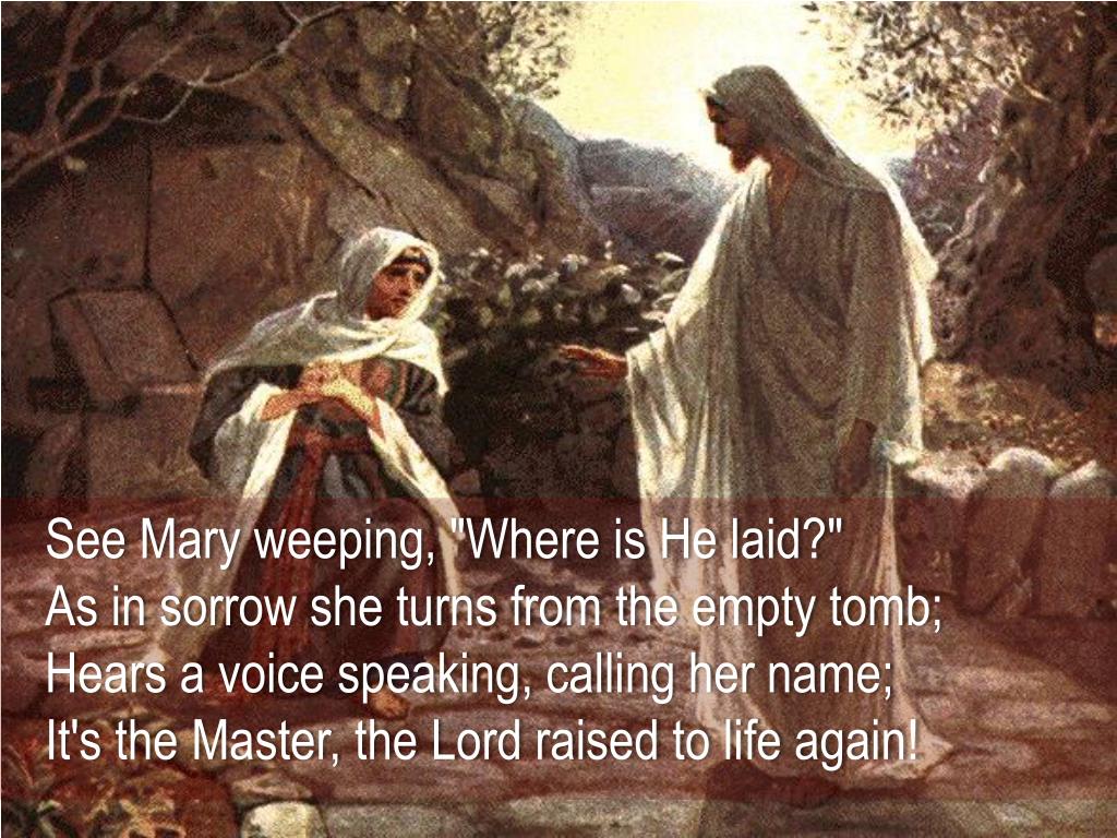 PPT - See, what a morning, gloriously bright, With the dawning of hope ...