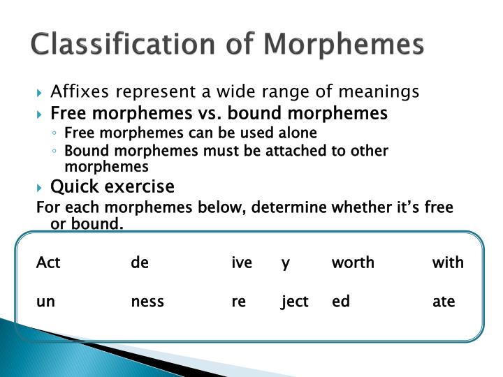 PPT - Morphology PowerPoint Presentation - ID:2925810