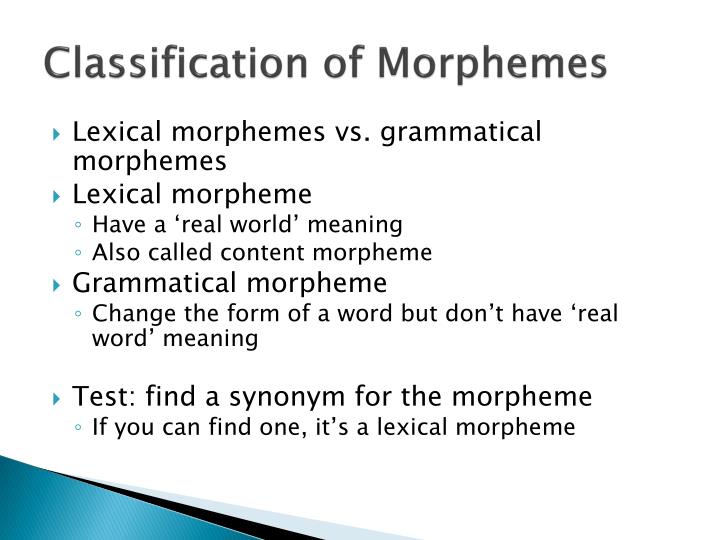 PPT - Morphology PowerPoint Presentation - ID:2925810