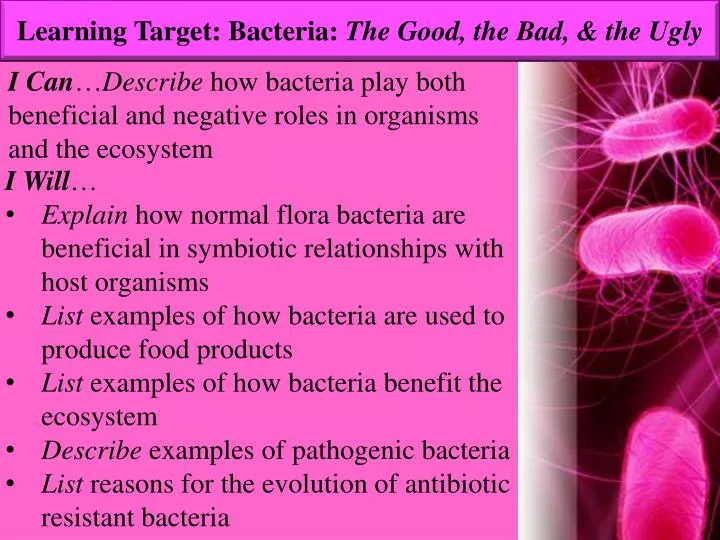 PPT - Learning Target: Bacteria: The Good, the Bad, & the Ugly ...