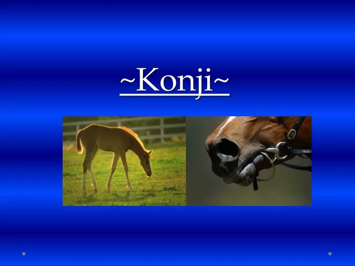PPT - ~Konji~ PowerPoint Presentation, free download - ID:2926163