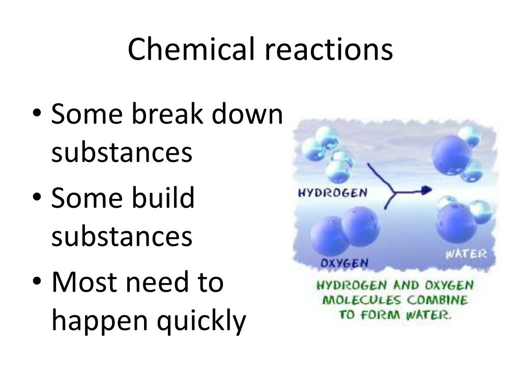 PPT - Enzymes and Chemical Reactions Biology CP PowerPoint Presentation ...
