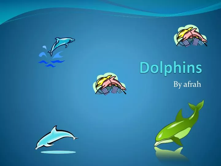 PPT - Dolphins PowerPoint Presentation, free download - ID:2927397