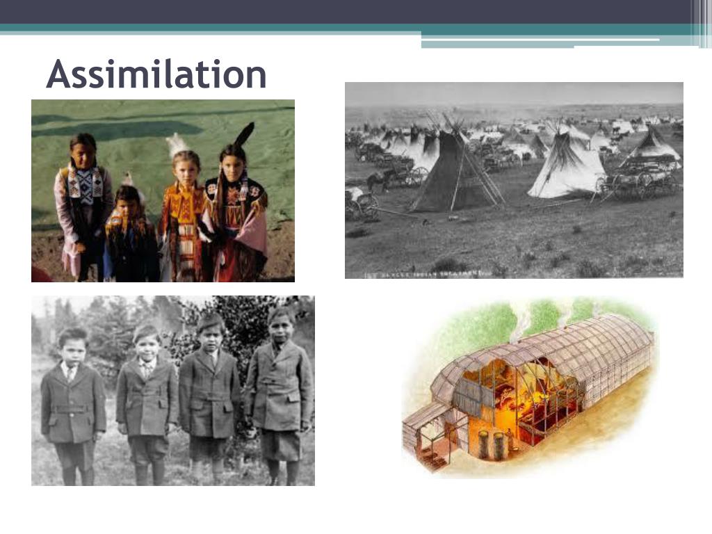 PPT - Chapter 9 - Historical Origins and Contemporary Issues PowerPoint ...