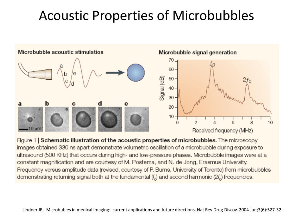 PPT - Ultrasound Imaging (Contrast Agents and Therapy) BIOE 498/598 DP ...