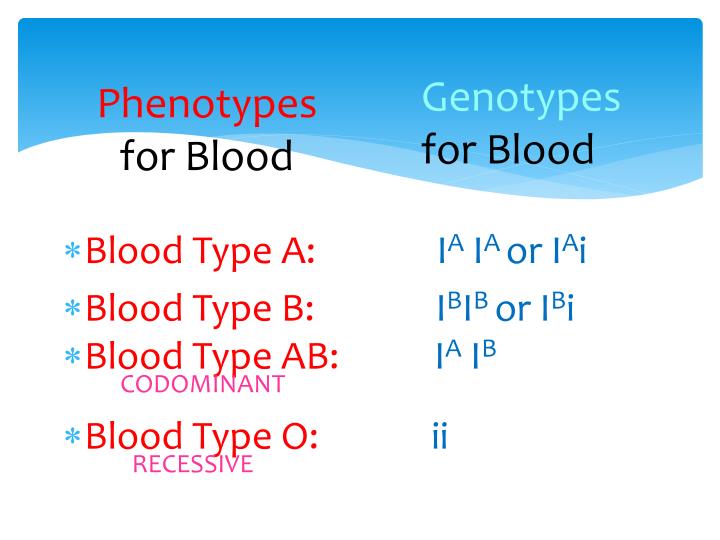 PPT - CO-DOMINANT ALLELES: BLOOD TYPES PowerPoint Presentation - ID:2927583