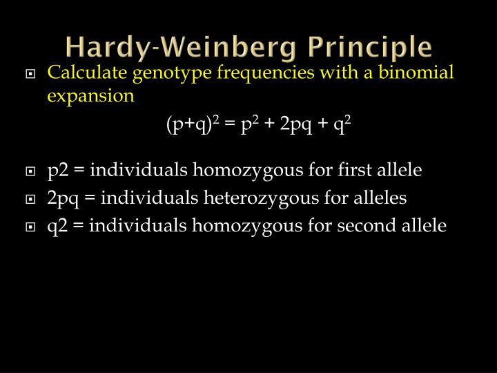 PPT - Hardy-Weinberg Principle PowerPoint Presentation - ID:2927595