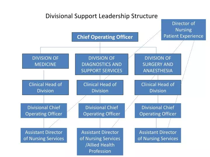 PPT - Divisional Support Leadership Structure PowerPoint Presentation ...