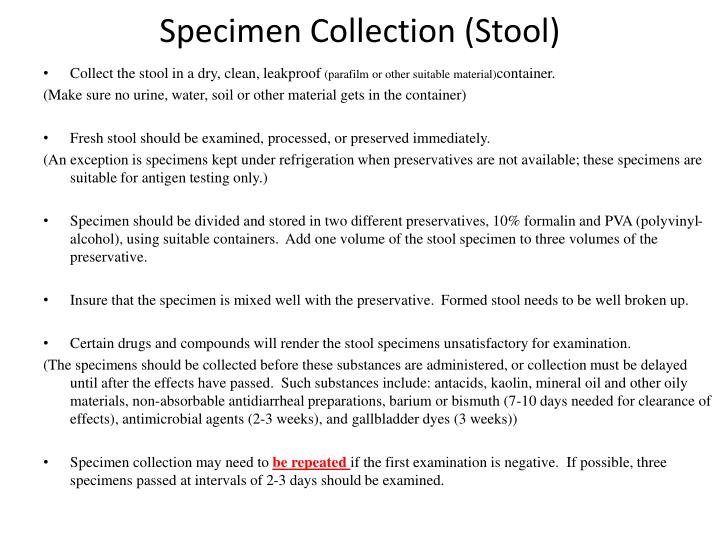 PPT - Faculty of Medicine and Health Sciences Parasitology Lab Second ...