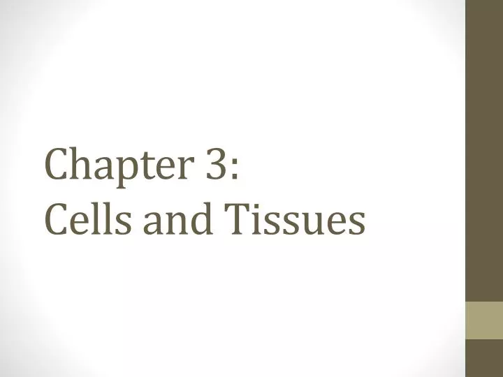 PPT - Chapter 3: Cells and Tissues PowerPoint Presentation, free ...