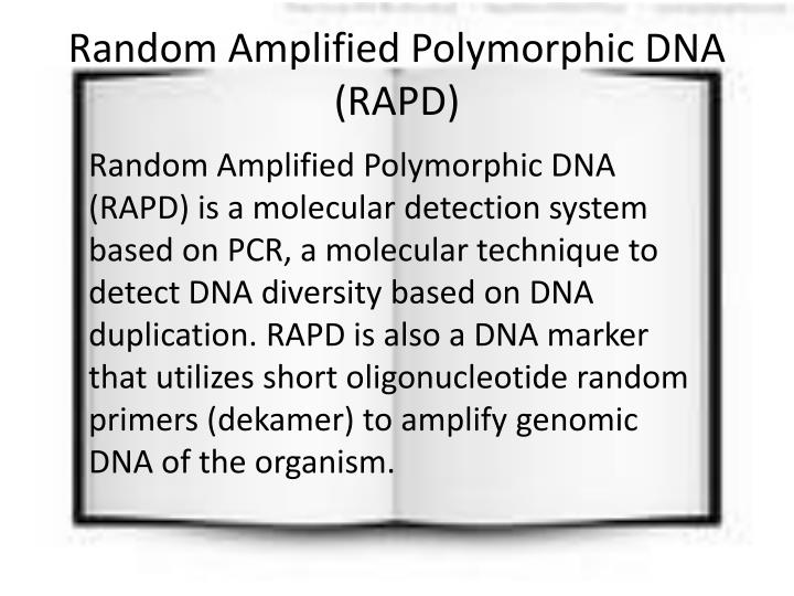 PPT - MANGO PLANT BREEDING Random Amplified Polymorphic DNA (RAPD ...