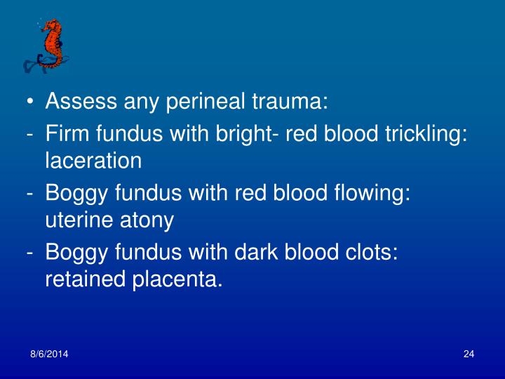 PPT - Management of the second stage of labor PowerPoint Presentation ...