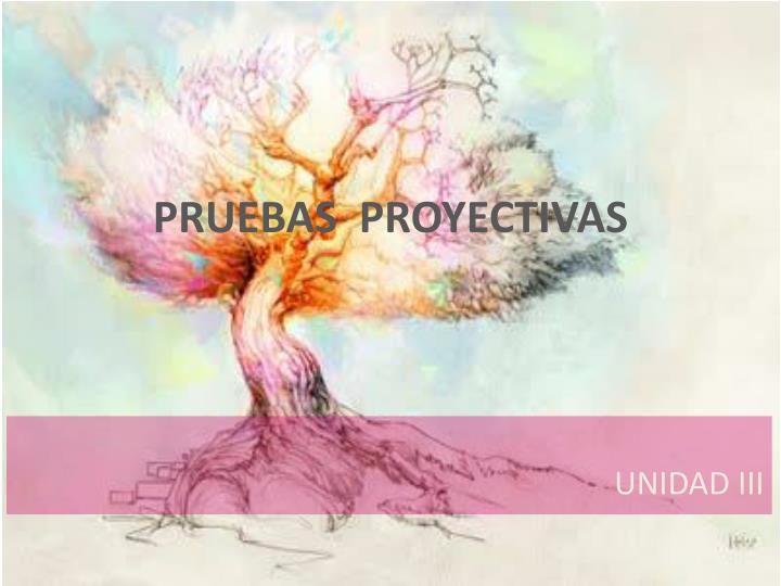 PPT - TEST DE PERSONALIDAD PowerPoint Presentation - ID:2929560