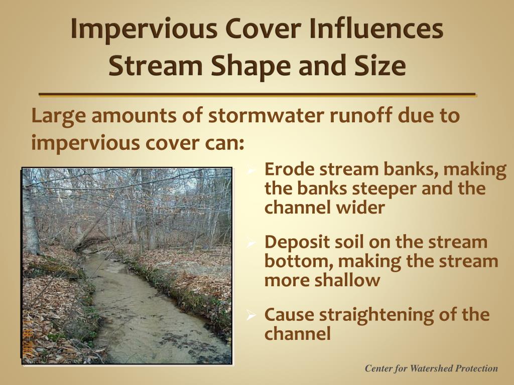 PPT - Katie Teague County Extension Agent- Agriculture/Water Quality ...