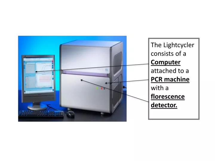 PPT - Blood Typing PowerPoint Presentation, free download - ID:2931025