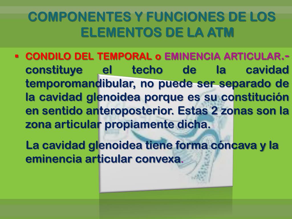 PPT - Universidad Juárez Autónoma de Tabasco División Académica de ...