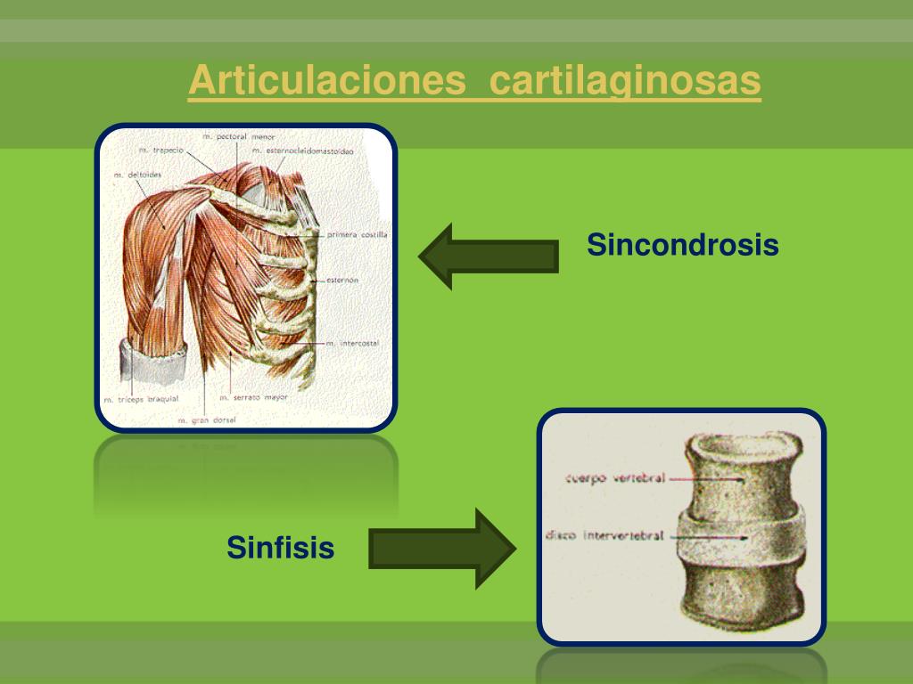 PPT - Universidad Juárez Autónoma de Tabasco División Académica de ...