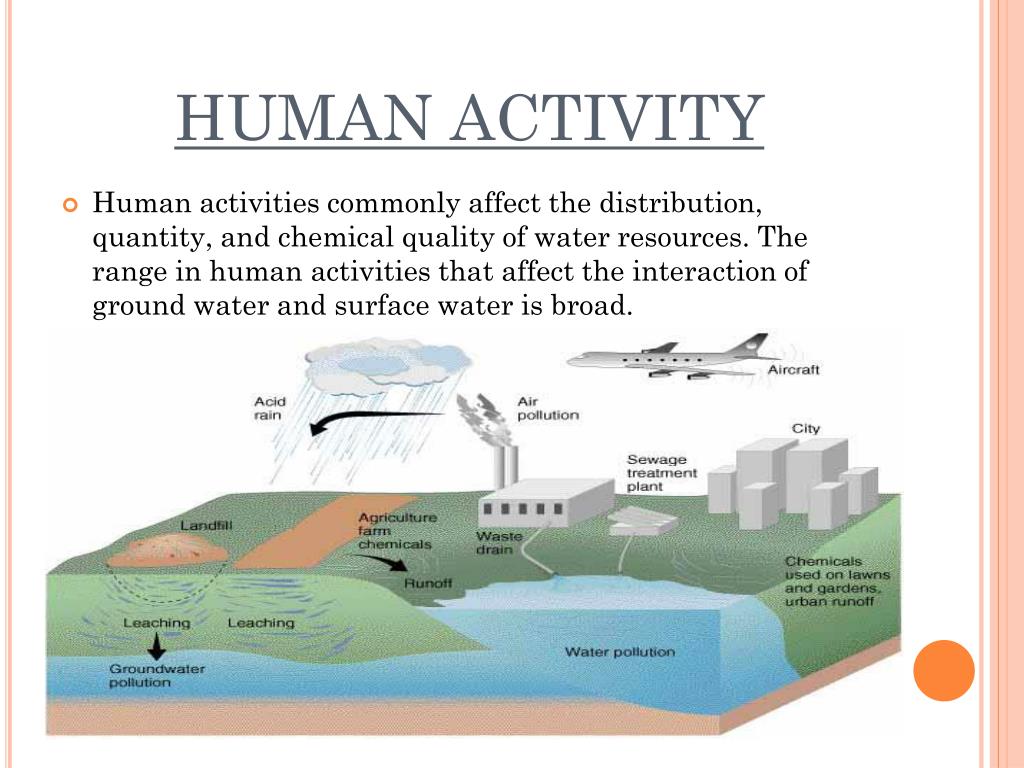 PPT - MALE, FEMALE REPRODUCTIVE SYSTEM AND WATER RESOURCES. PowerPoint ...