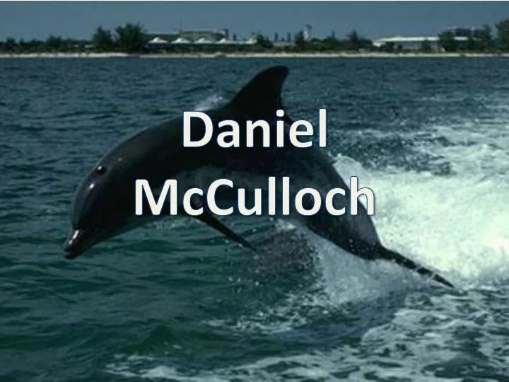PPT - Daniel McCulloch PowerPoint Presentation, free download - ID:2932922