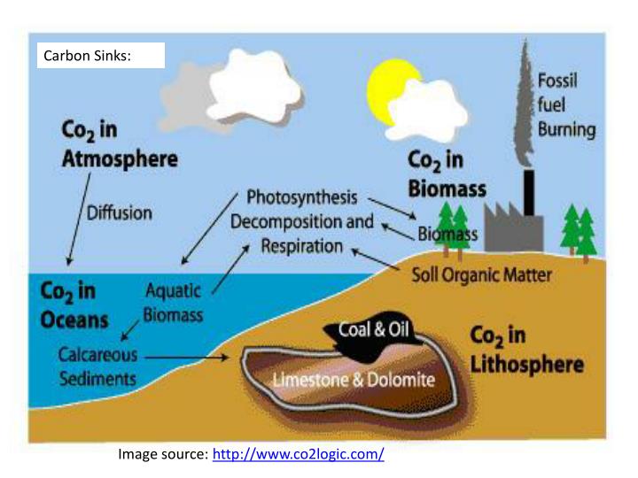 PPT - The Four Laws of Ecology Formulated by physicist and ecologist ...