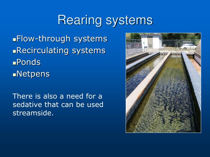 PPT - Aquaculture PowerPoint Presentation - ID:2935738