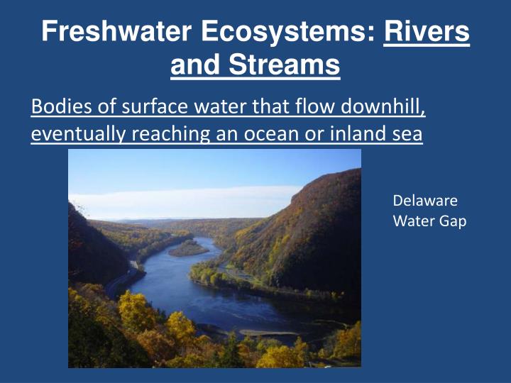 PPT - Chapter 6: Biomes and Aquatic Ecosystems PowerPoint Presentation ...