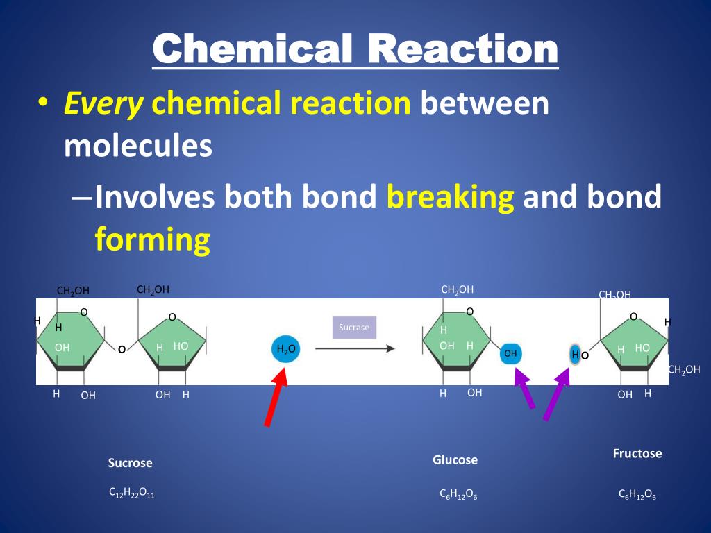 Ppt Enzymes Powerpoint Presentation Free Download Id 2936773