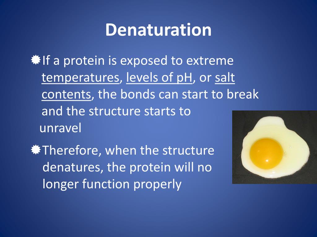 Ppt Enzymes Powerpoint Presentation Free Download Id 2936773
