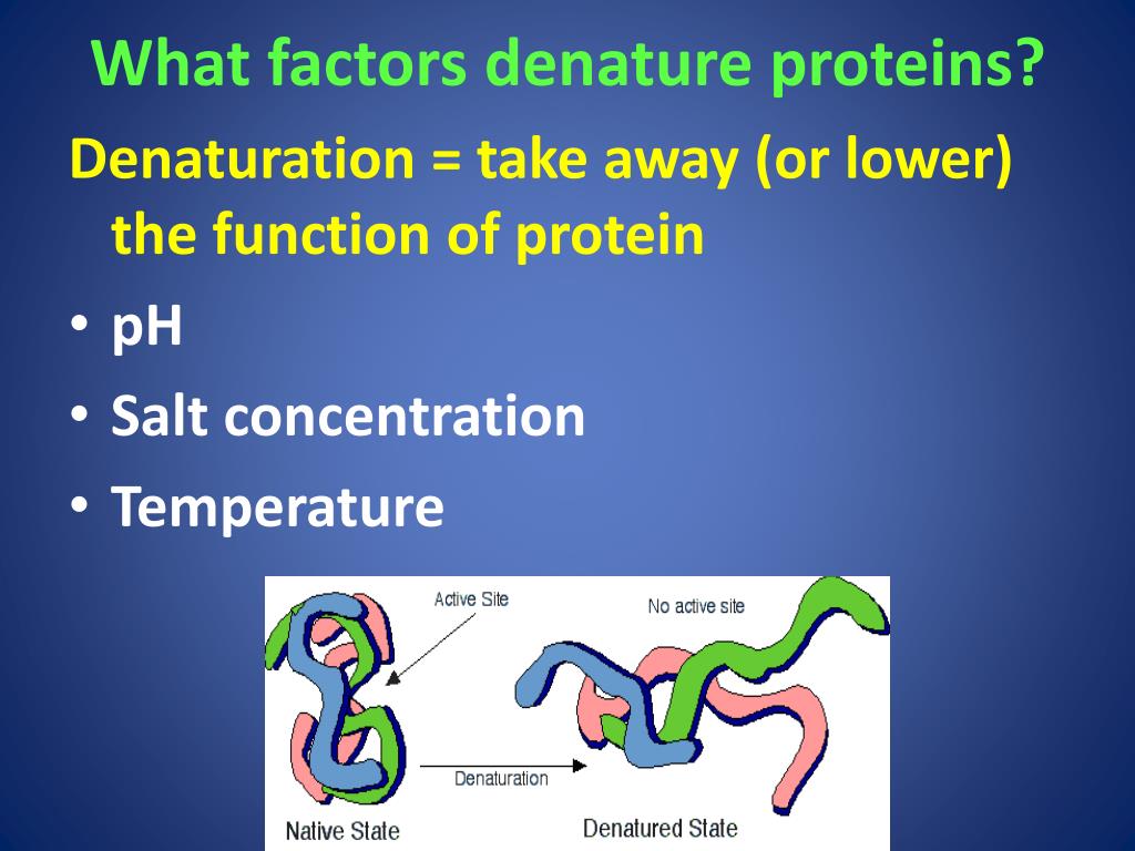 Ppt Enzymes Powerpoint Presentation Free Download Id 2936773
