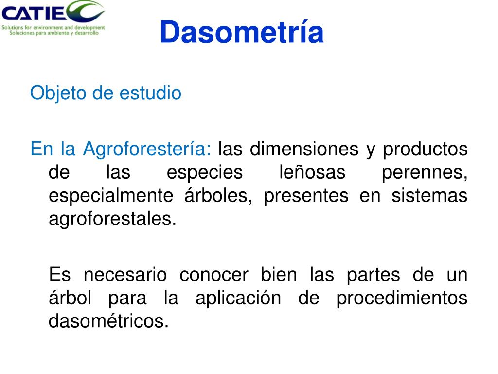 PPT - Dasometría y Medición de Sombra PowerPoint Presentation, free ...