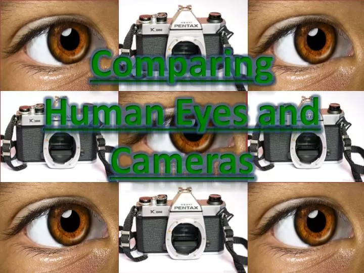 PPT - Comparing Human Eyes and Cameras PowerPoint Presentation, free ...