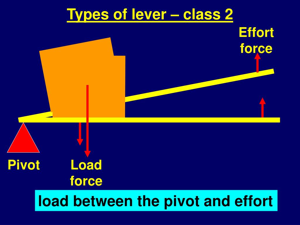 PPT - Year 9 Moments & Levers J.Maden PowerPoint Presentation, free ...