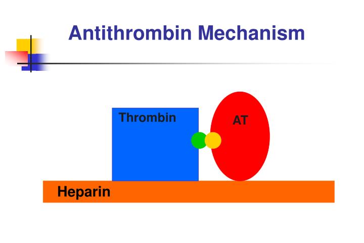 PPT - Fibrinolytic System of Hemostasis PowerPoint Presentation - ID ...