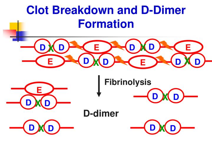 PPT - Fibrinolytic System of Hemostasis PowerPoint Presentation - ID ...