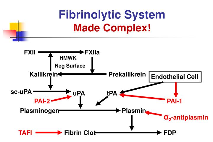 PPT - Fibrinolytic System of Hemostasis PowerPoint Presentation - ID ...