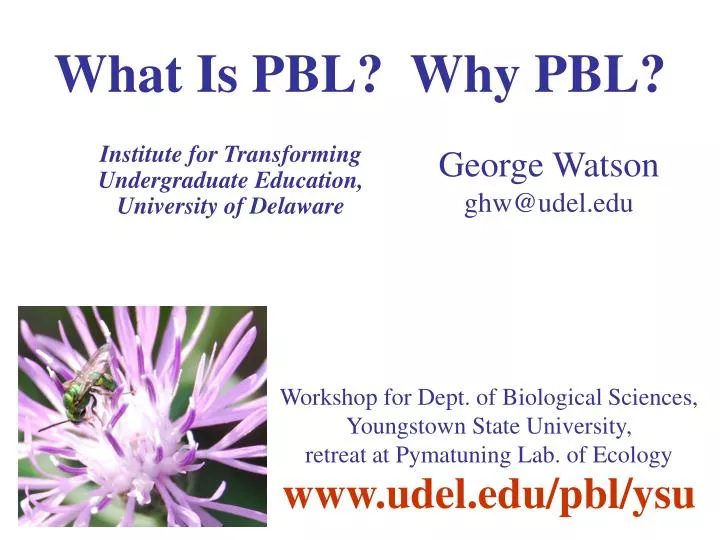 PPT - What Is PBL? Why PBL? PowerPoint Presentation, free download - ID ...