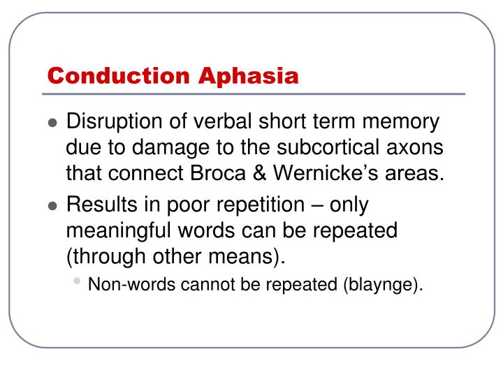PPT - PSY 335 Memory and Amnesia PowerPoint Presentation - ID:2937659