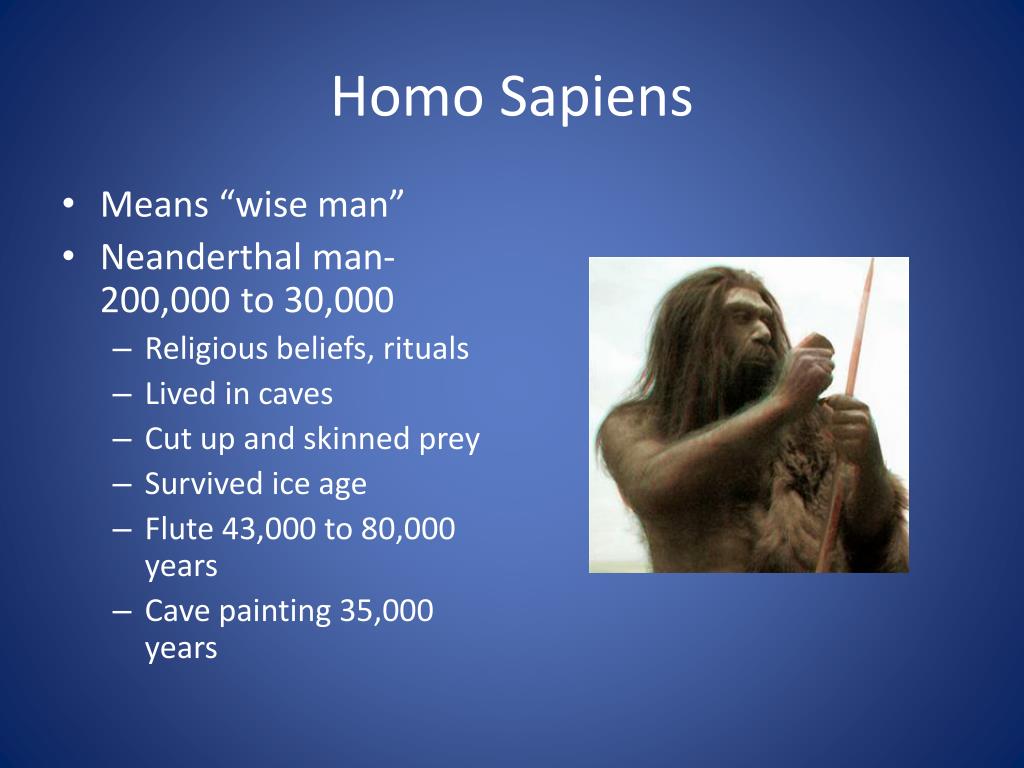 PPT - Human Origins in Africa PowerPoint Presentation, free download ...