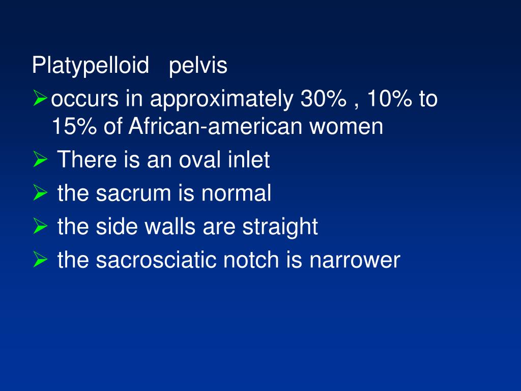 PPT - Anatomy of Female reproductive system PowerPoint Presentation ...