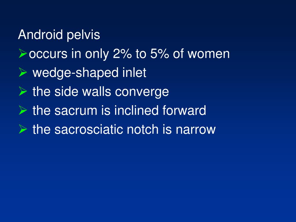 PPT - Anatomy of Female reproductive system PowerPoint Presentation ...