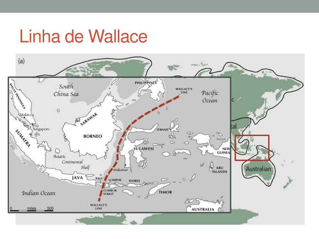 PPT - Biogeografia 2 distribuição geográfica das espécies PowerPoint ...