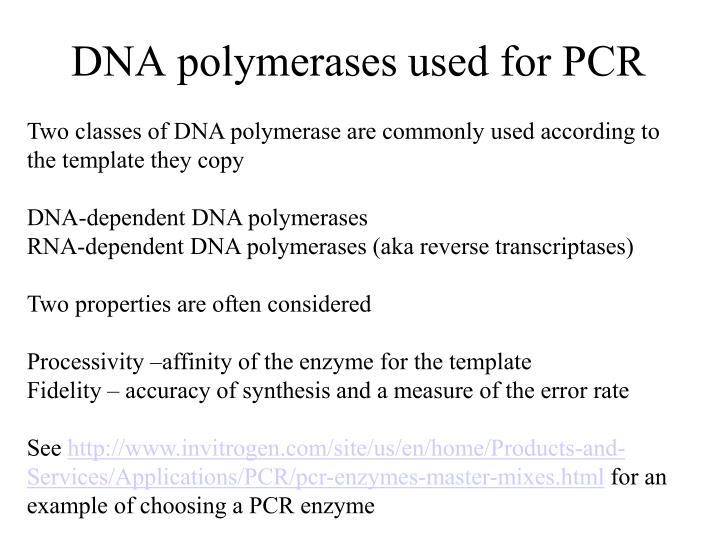 PPT - Amplification of DNA using the Polymerase Chain Reaction (PCR ...