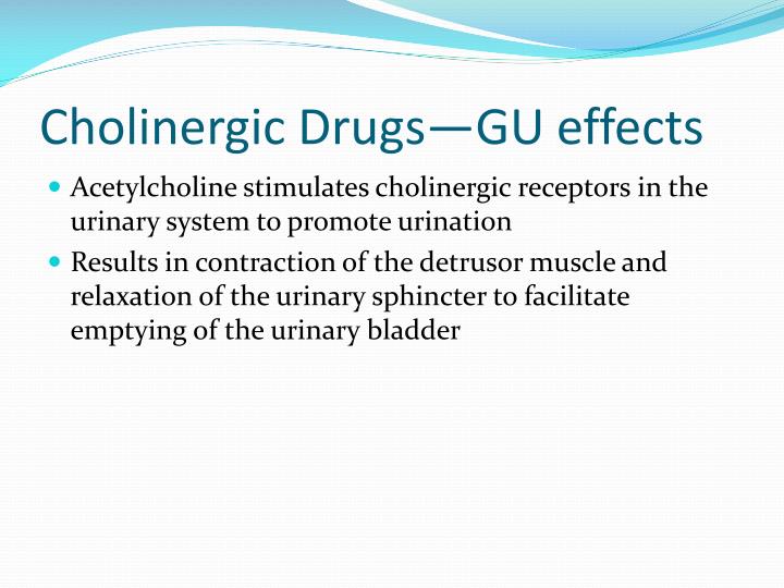PPT - Cholinergic drugs PowerPoint Presentation - ID:2937979