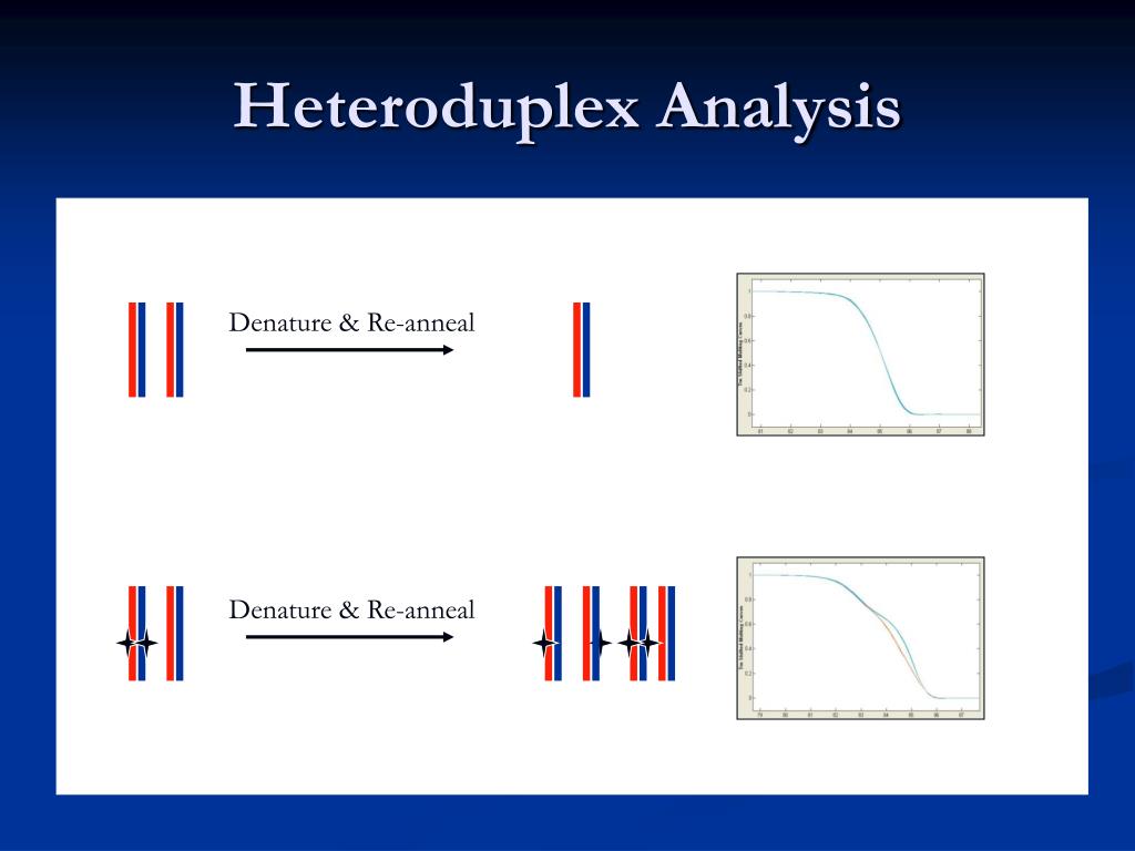 PPT - Teresa Lamb Clinical Scientist Leeds DNA Laboratory PowerPoint ...
