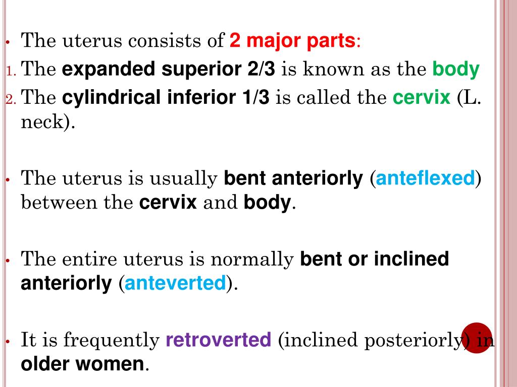 PPT - Internal genitalia of Female PowerPoint Presentation, free ...