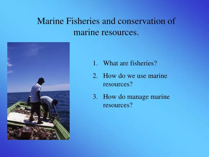 PPT - Marine Fisheries and conservation of marine resources. PowerPoint ...