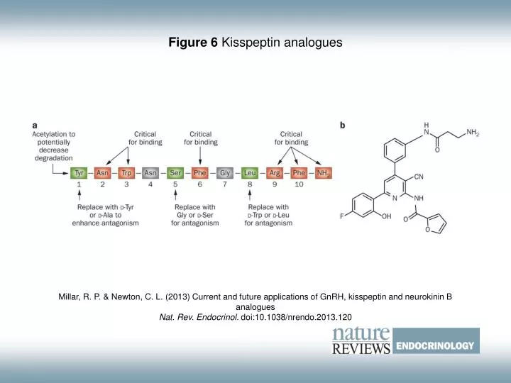 PPT - Figure 6 Kisspeptin analogues PowerPoint Presentation, free ...
